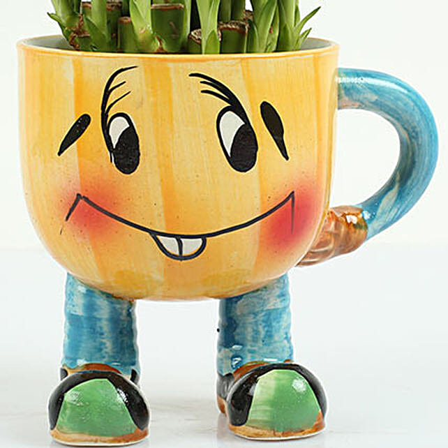 Two Layer Bamboo Plant With Smiley Vase | Gift Bamboo Plant with Smiley ...