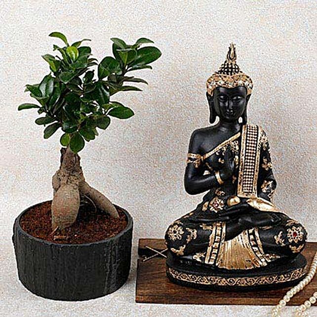 Lord Buddha N Ficus Microcarpa Bonsai Plant | Gift Bonsai with Buddha ...