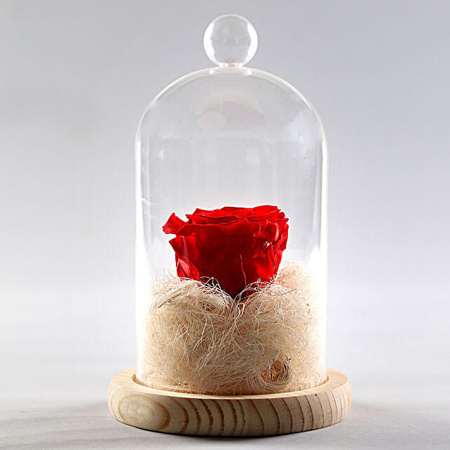 Classic- Forever Red Rose In Glass Dome | Gift love n romance forever ...