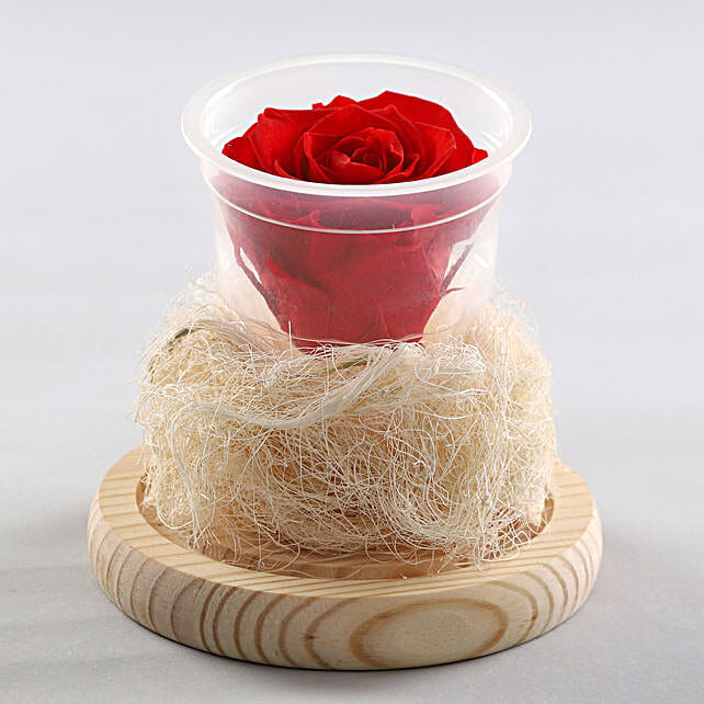 Classic- Forever Red Rose In Glass Dome | Gift love n romance forever ...
